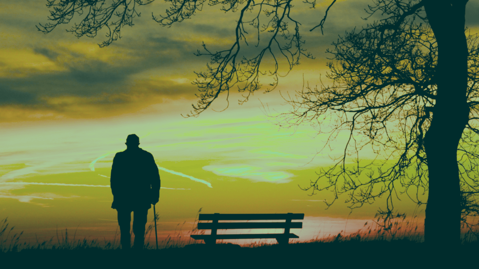 Senior Care Blog | Samarth Elder Care